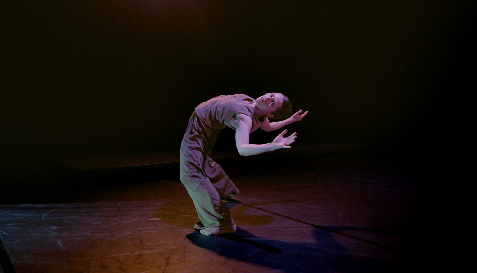 Dance Project – A Non-Profit Dance School and Festival